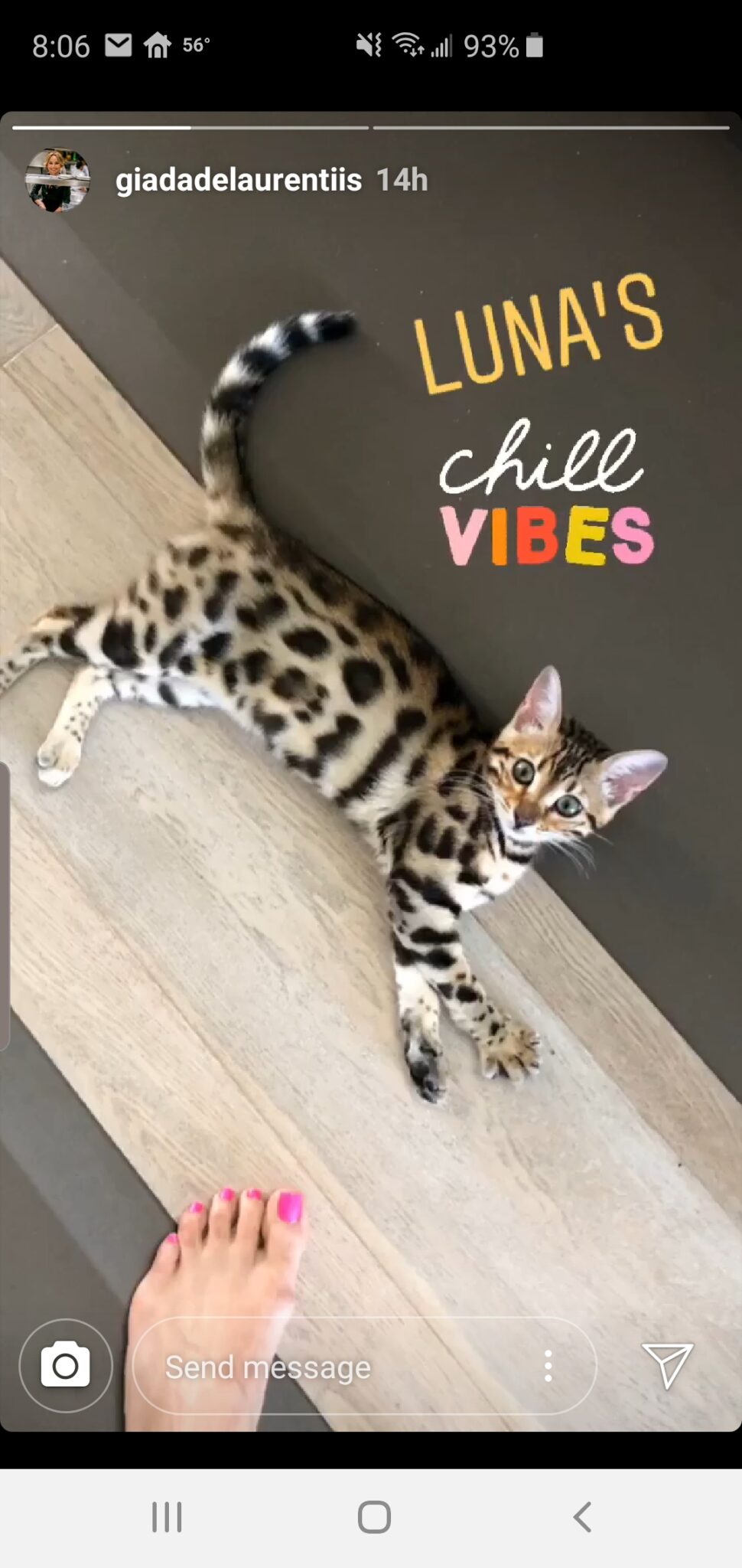 Giada De Laurentis Feet (3 photos) Sexy Feets - Celeb Feets