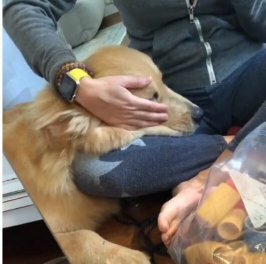 Chiara Zanni Feet (2 photos) Sexy Feets - Celeb Feets