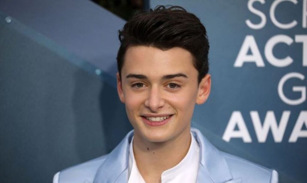 Who Is Noah Schnapp Married To? • Celebily – Celebrity