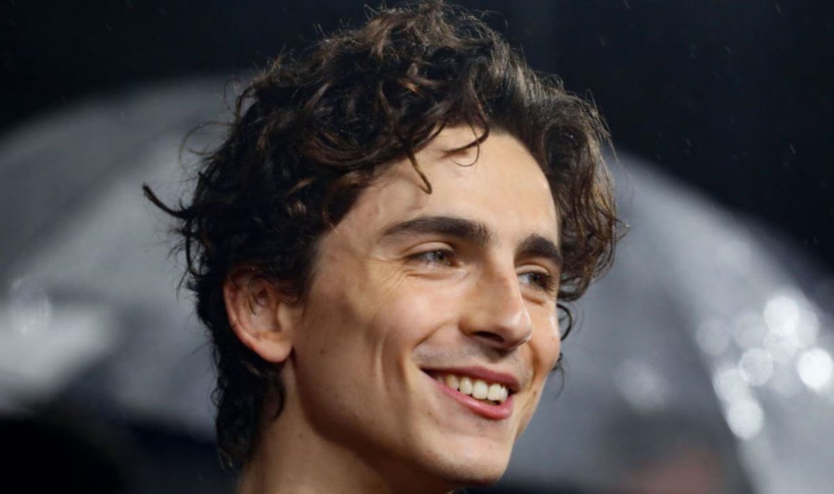Timothée Chalamet Net Worth: How Much Is He Truly Worth? | Celebrity