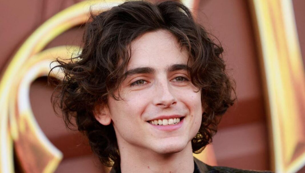 Timothée Chalamet Net Worth: How Much Is He Truly Worth? | Celebrity