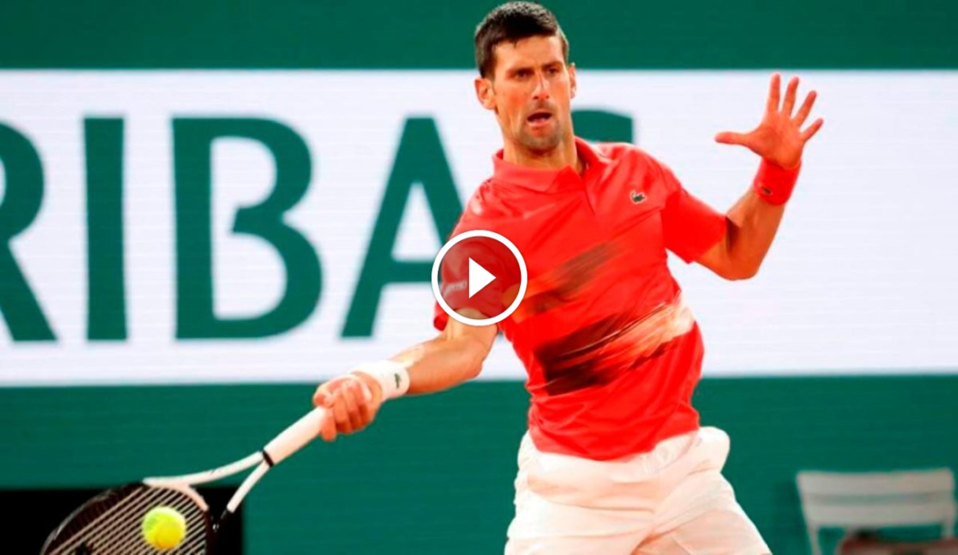 Novak Djokovic Height: How Tall Is Novak Djokovic? | Celebrity