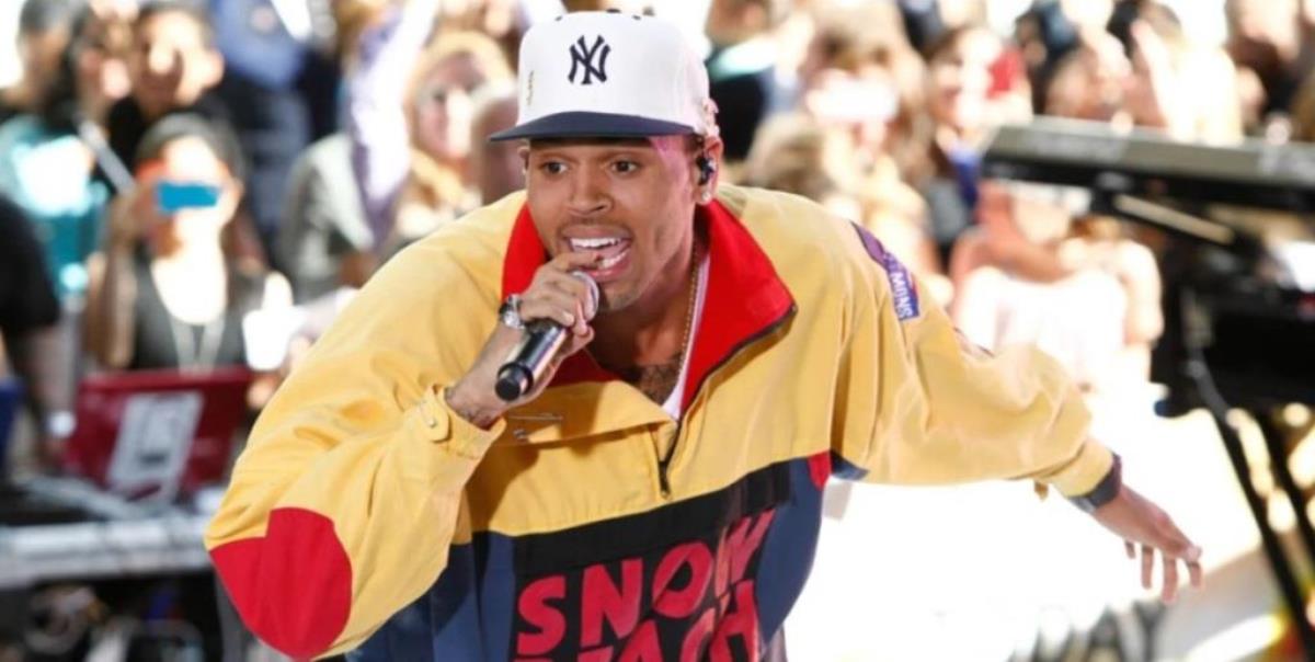 Chris Brown Net Worth: Unstoppable Success Story – Celebrity