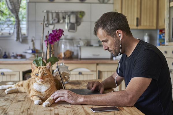 ¿Cómo comprobar la versión de Java en Windows y Mac? - Recurso Wordpress