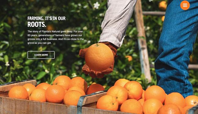 22 sitios web maravillosamente naranjas para inspirarte - Recurso Wordpress