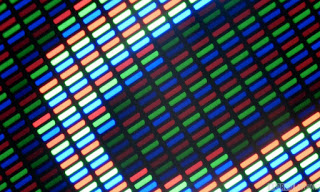 ¿Qué significa la pantalla AMOLED y qué smartphones la tienen ...