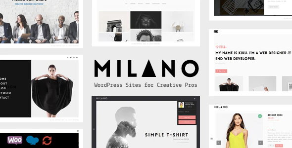 Descargar: Milán | Tema creativo minimalista de WordPress para portafolio y fotografía - Recurso ...