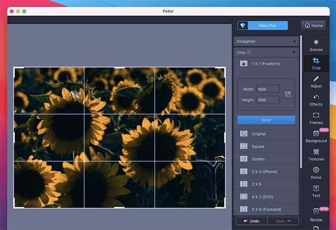 Cómo recortar una imagen en Mac - Recurso Wordpress