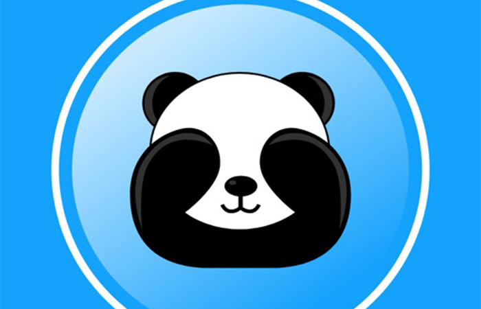 ¿Qué es el navegador Panda? Usos, opiniones, precios 2022 - Recurso ...