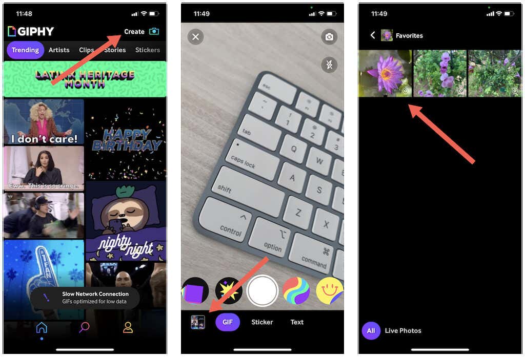 Cómo convertir una foto en vivo en un GIF en iPhone y Mac - Recurso Wordpress