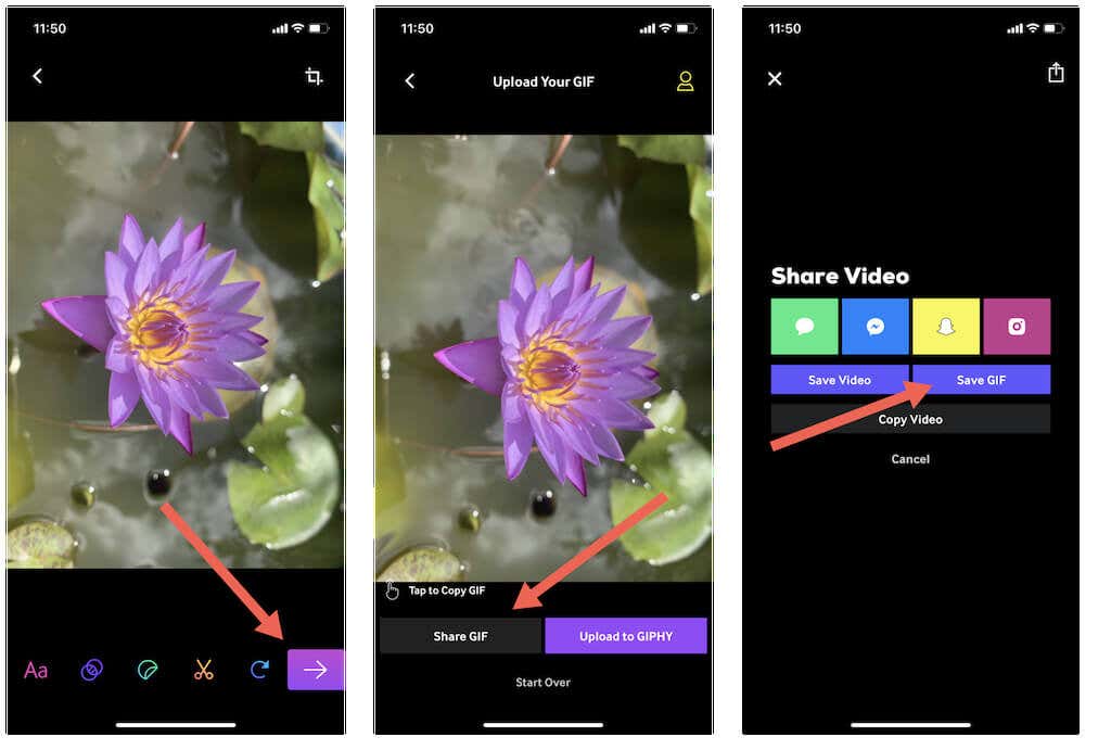 Cómo convertir una foto en vivo en un GIF en iPhone y Mac - Recurso Wordpress