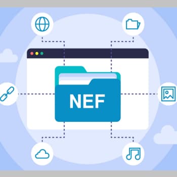 ¿Qué es un archivo NEF? Para qué sirve y cómo abrirlo - Recurso Wordpress