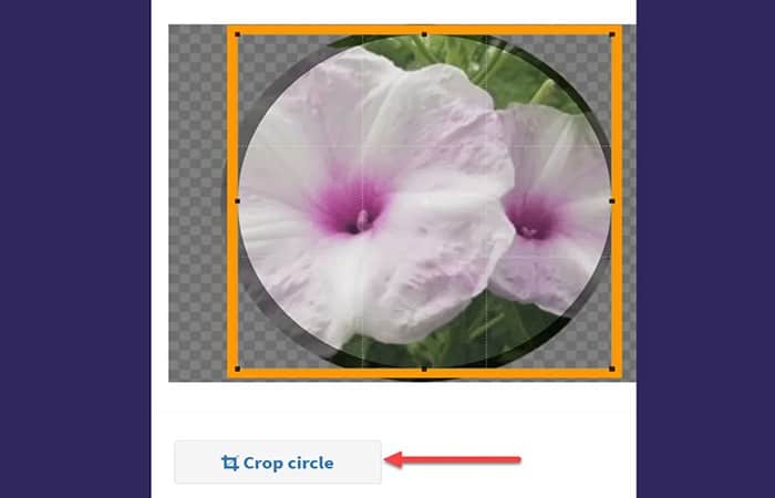Cómo Recortar Una Imagen En Círculo - Recurso Wordpress