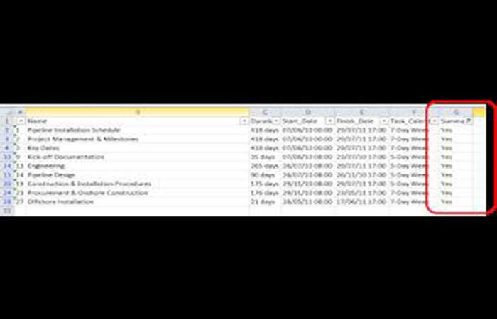 Cómo exportar de Microsoft Project a Excel en 15 pasos - Recurso Wordpress