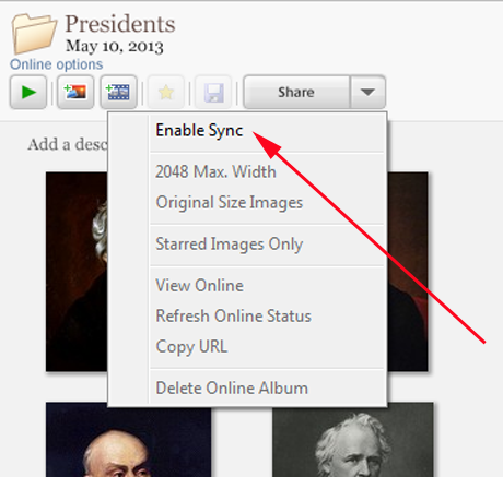 Cómo publicar fotos en Picasa y Google+ con la Galería fotográfica de Windows - Recurso Wordpress
