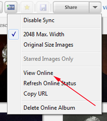 Cómo publicar fotos en Picasa y Google+ con la Galería fotográfica de Windows - Recurso Wordpress