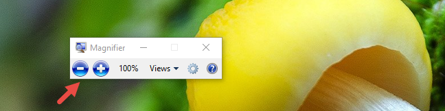 Cómo usar la Lupa para acercar, en una PC con Windows - Recurso Wordpress