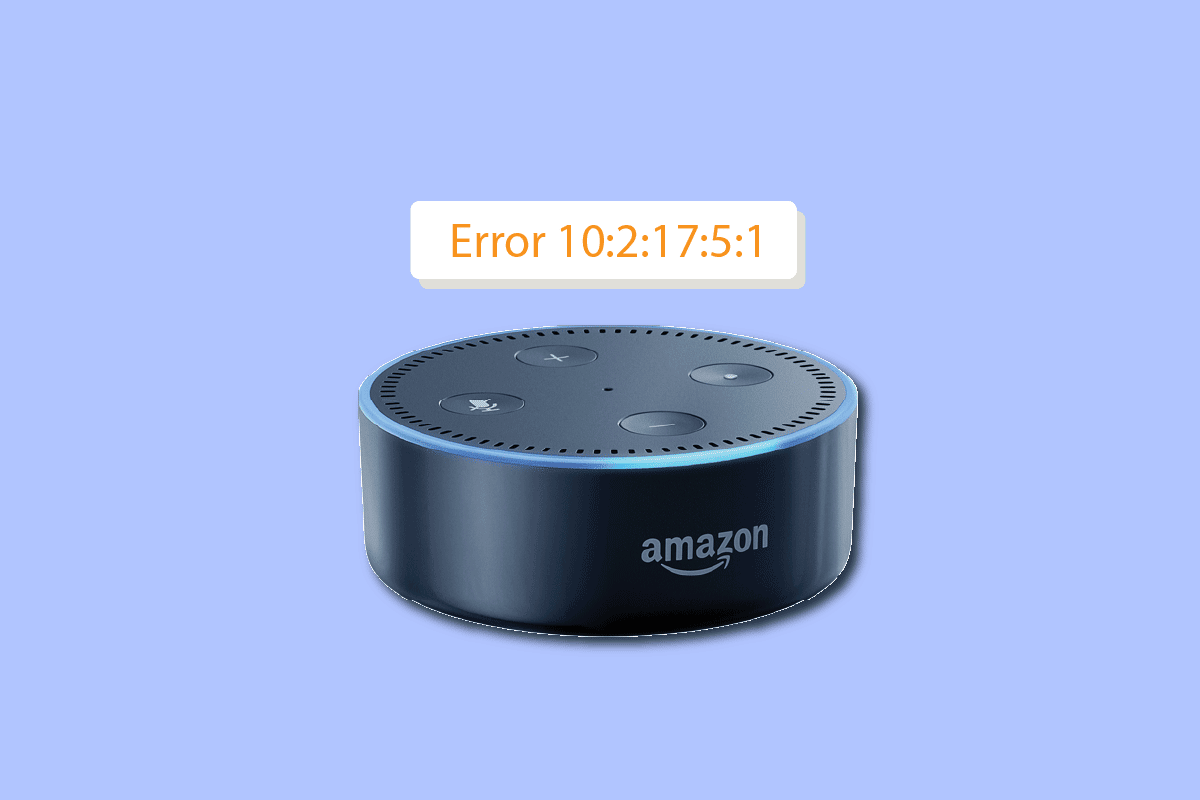 Solucionar el error de Alexa 10 2 17 5 1 en Echo Dot - Recurso Wordpress