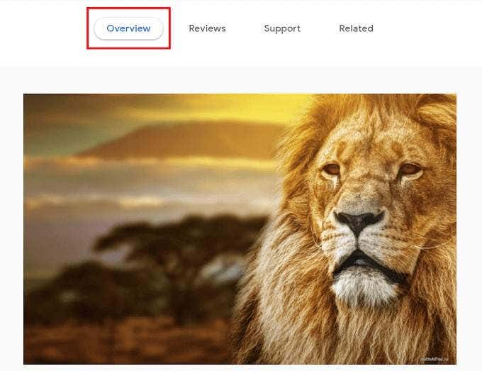 Cómo cambiar el tema de Google Chrome – Recursos WordPress