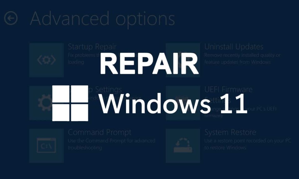 Cómo reparar Windows 11 - Recurso Wordpress