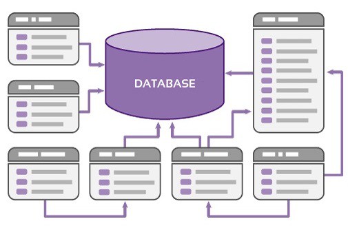 ¿Qué es una base de datos y para qué sirve? - Recurso Wordpress