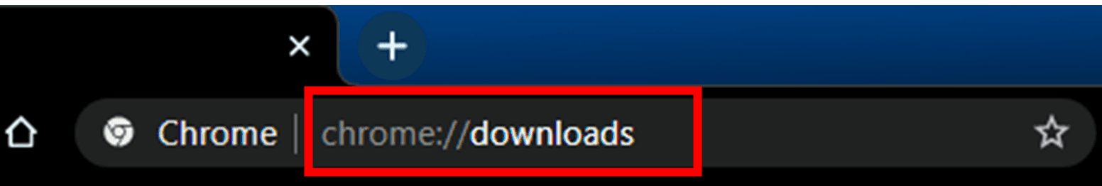 Cómo ver descargas recientes en Google Chrome - Recurso Wordpress
