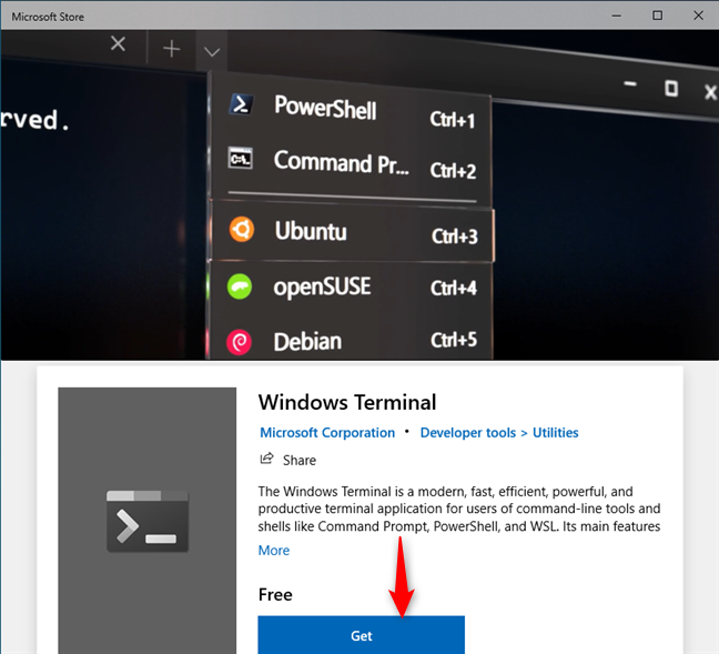 ¿Qué es una Terminal de Windows? - Recurso Wordpress