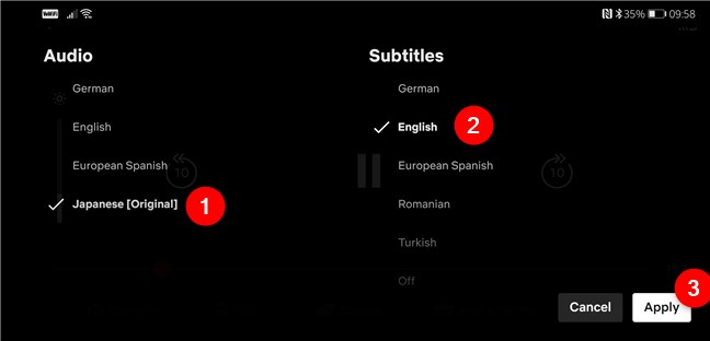 Cómo cambiar el idioma en Netflix (7 formas) - Recurso Wordpress