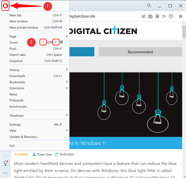 Cómo acercar y alejar la imagen en su navegador web - Recurso Wordpress