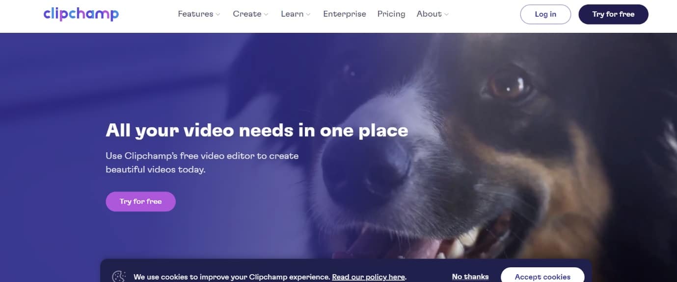 Los 29 mejores compresores MP4 para Windows - Recurso Wordpress