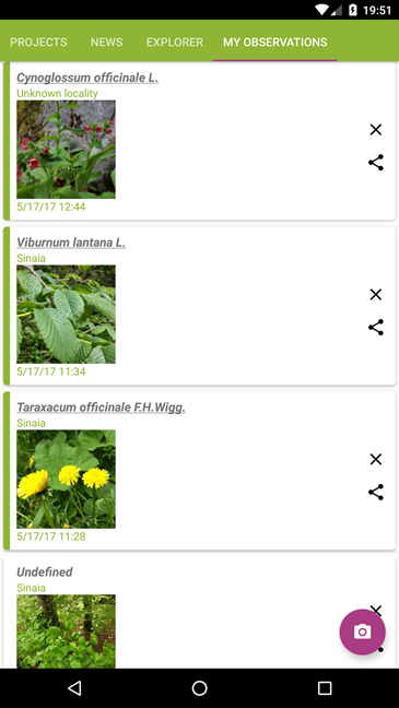 una aplicación colaborativa para identificar plantas con su teléfono inteligente - Recurso Wordpress