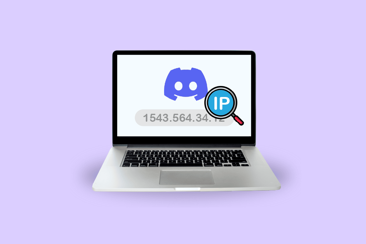 Cómo encontrar la IP de alguien en Discord - Recurso Wordpress