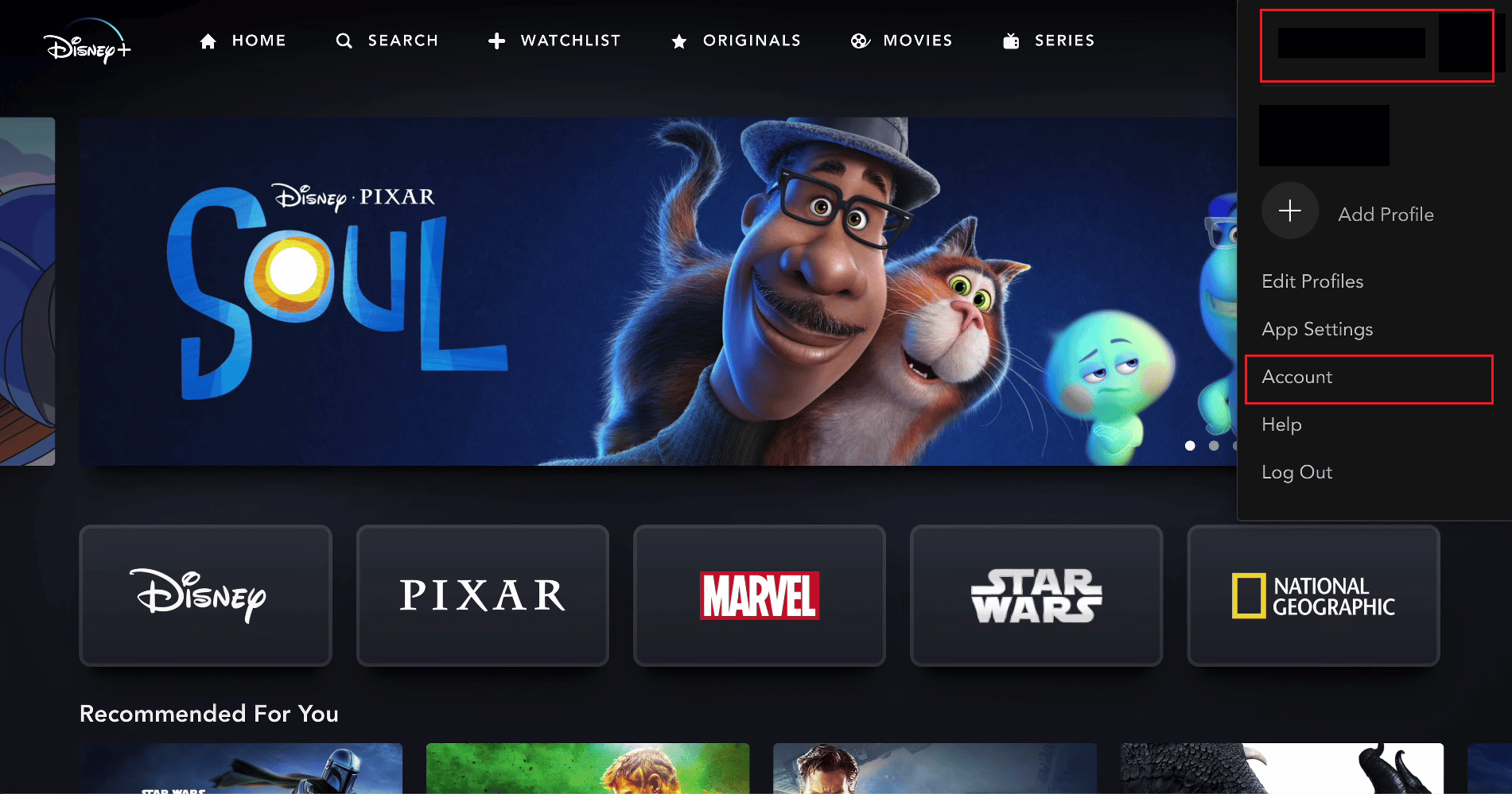 Cómo actualizar la cuenta de Disney Plus - Recurso Wordpress