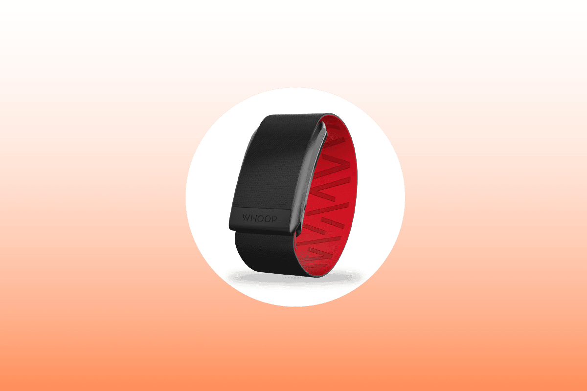 What is WHOOP Band png Recursos Wordpress