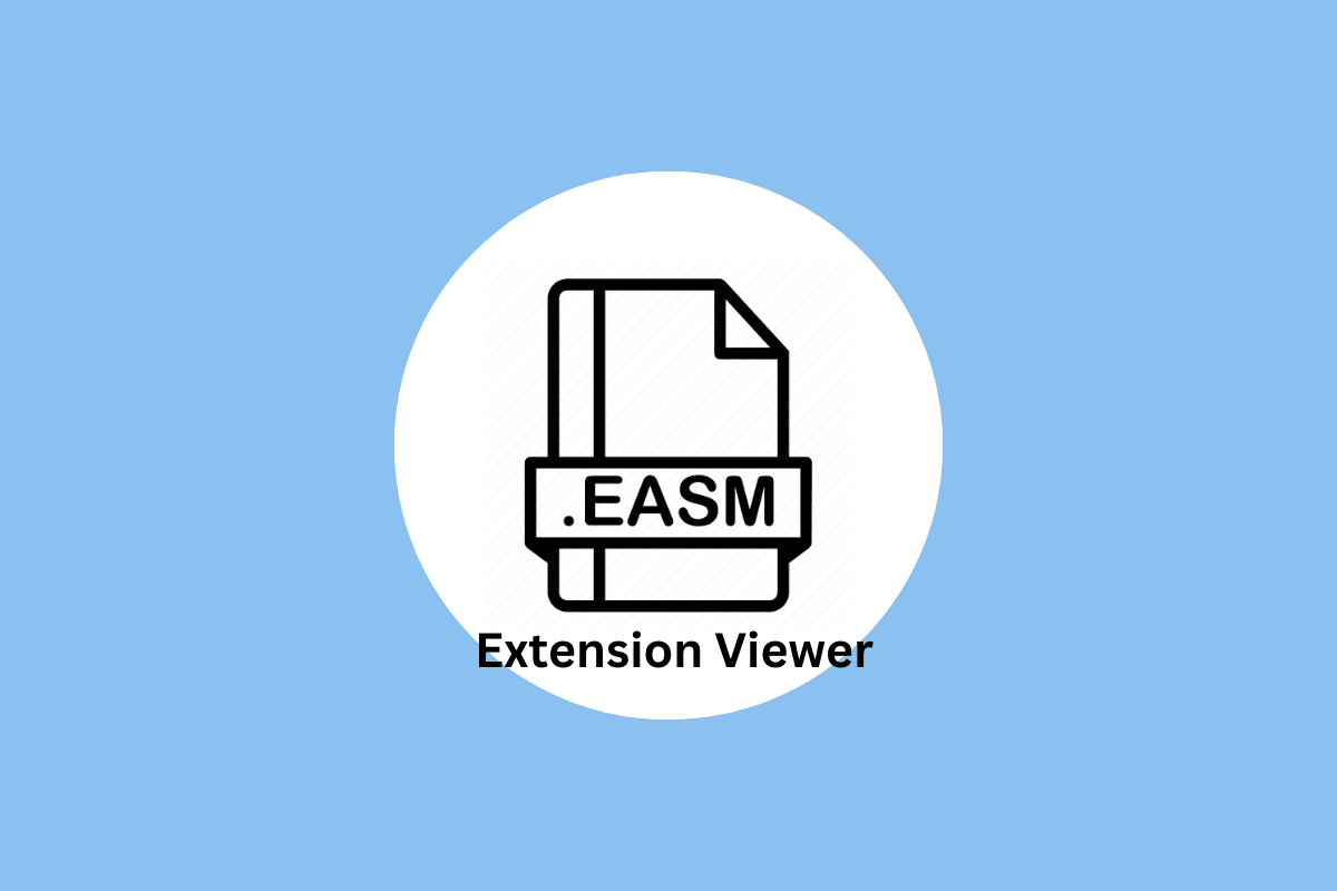 ¿Qué es el visor de extensiones EASM? - Recurso Wordpress