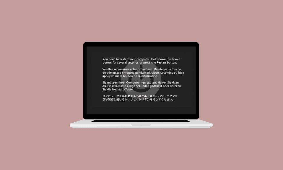 Cómo reparar el error de Kernel Panic Mac - Recurso Wordpress
