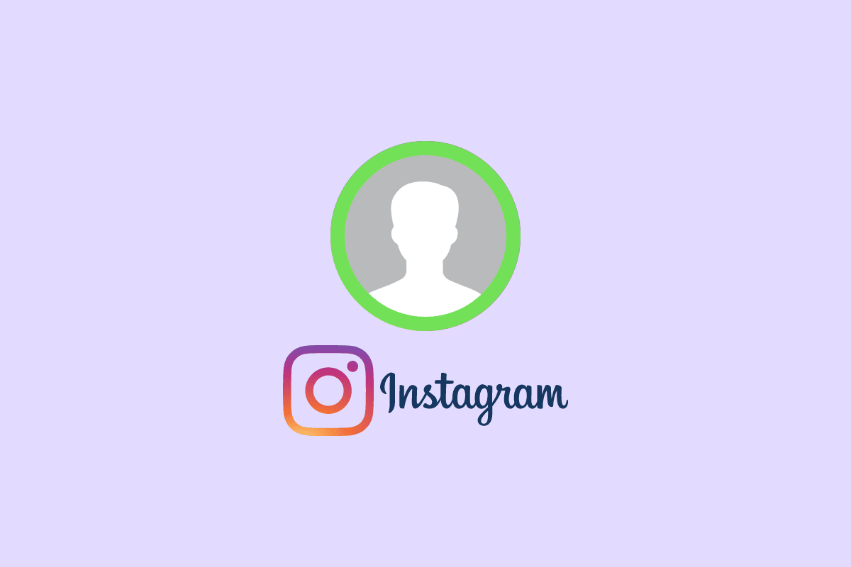 Cómo obtener el círculo verde de Instagram - Recurso Wordpress