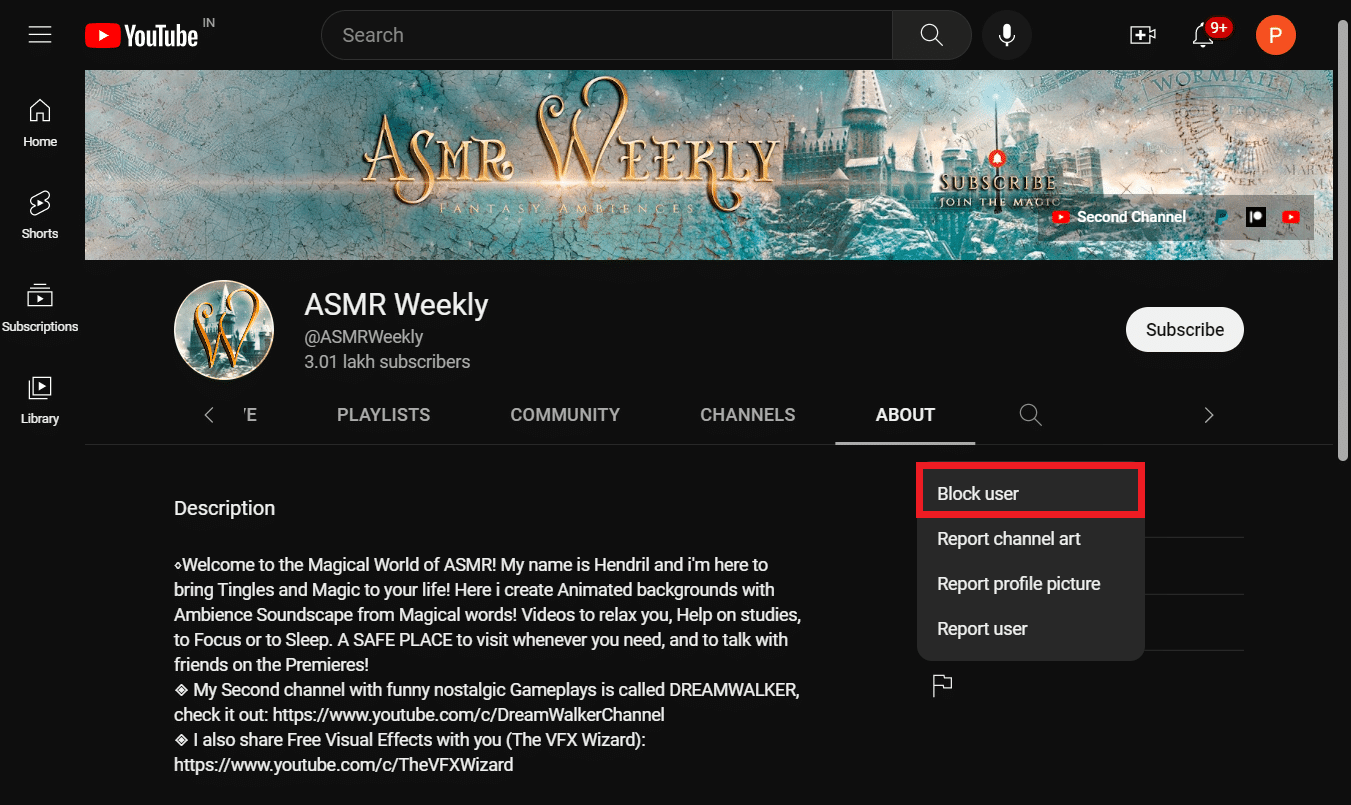 Cómo bloquear un canal de YouTube en la televisión - Recurso Wordpress