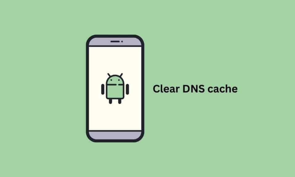 Cómo borrar la caché de DNS en Android - Recurso Wordpress