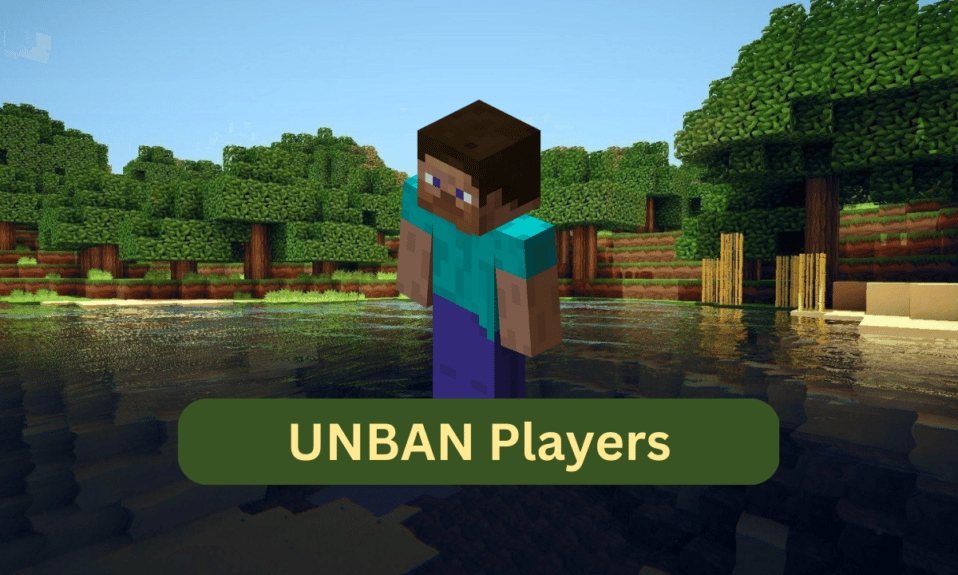 Cómo desbloquear jugadores en Minecraft - Recurso Wordpress