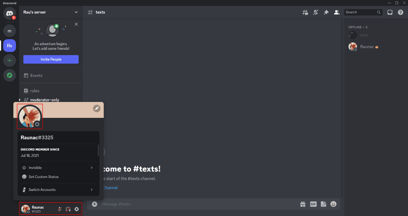 ¿Qué significa Invisible en Discord? - Recurso Wordpress