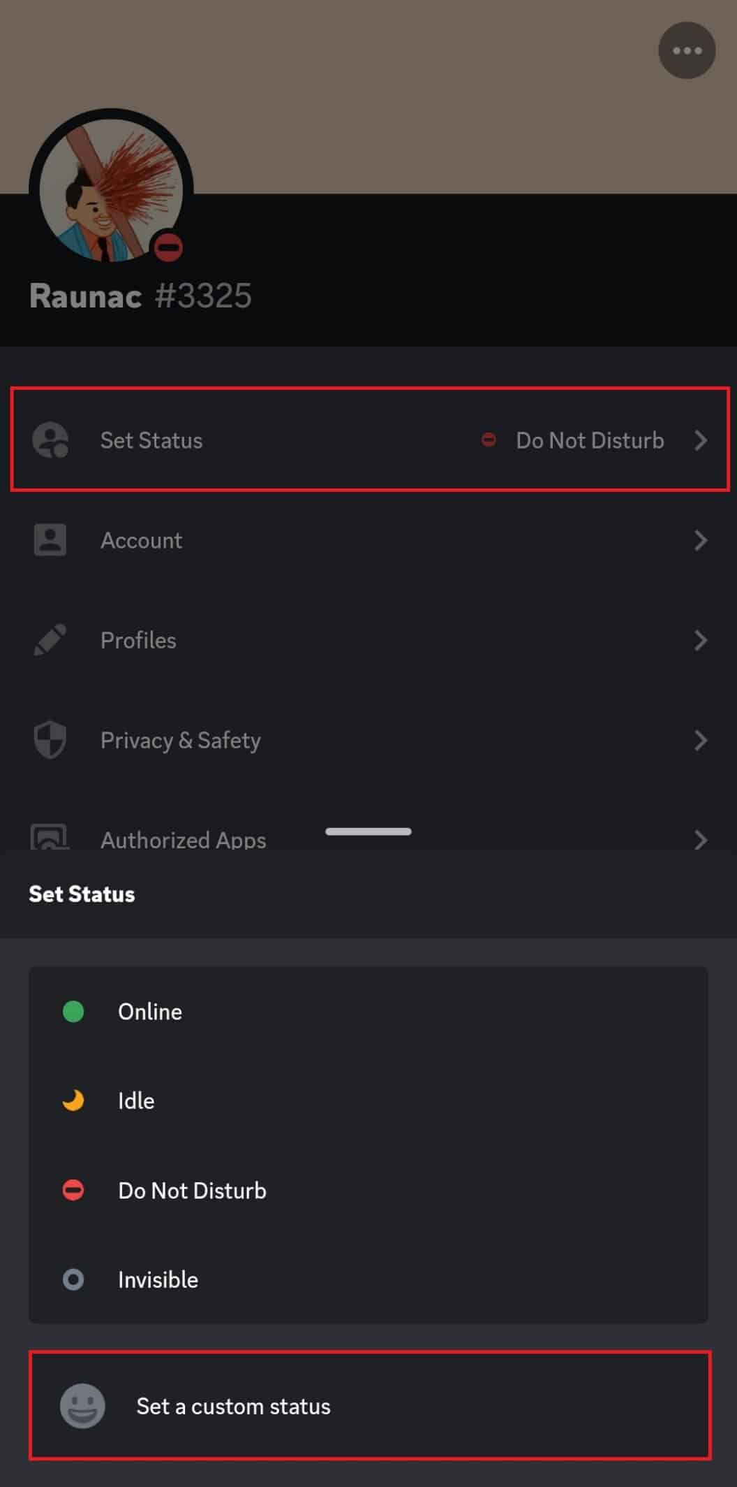 ¿Qué significa Invisible en Discord? - Recurso Wordpress