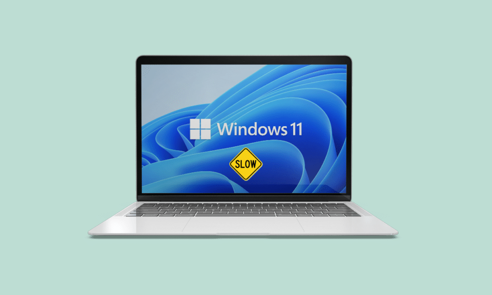 ¿Por qué Windows 11 es repentinamente tan lento y cómo solucionarlo ...