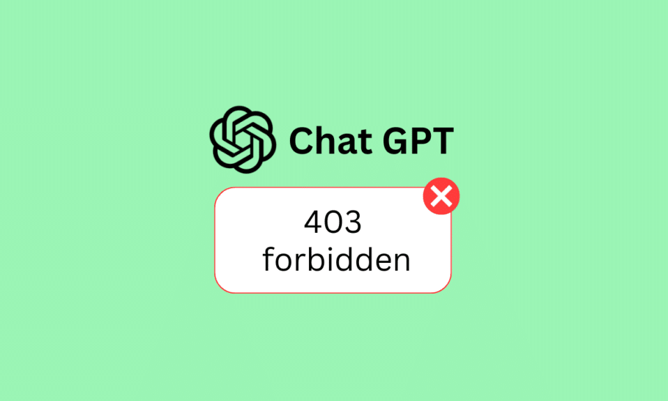 Arreglar el error prohibido de Chat GPT 403 - Recurso Wordpress
