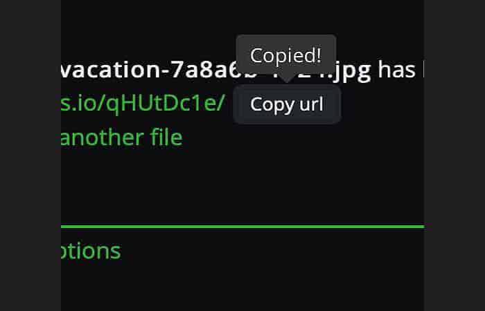 Cómo Crear Un Enlace De Descarga Directa - Recurso Wordpress